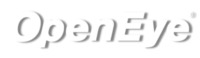 OpenEye Security Camera Systems | Video Surveillance Systems