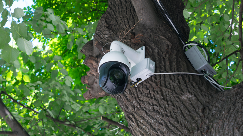 Types of CCTV Cameras – The Complete Guide